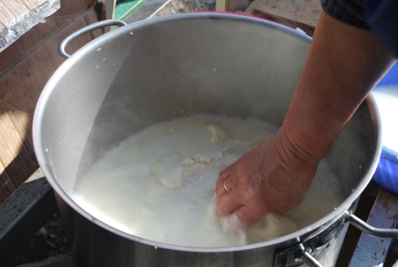 About Food – Tenili Cheese | Georgia About