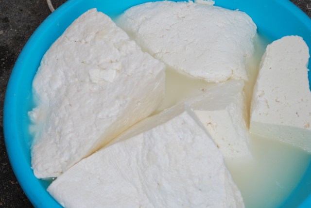 About Food – Tenili Cheese | Georgia About
